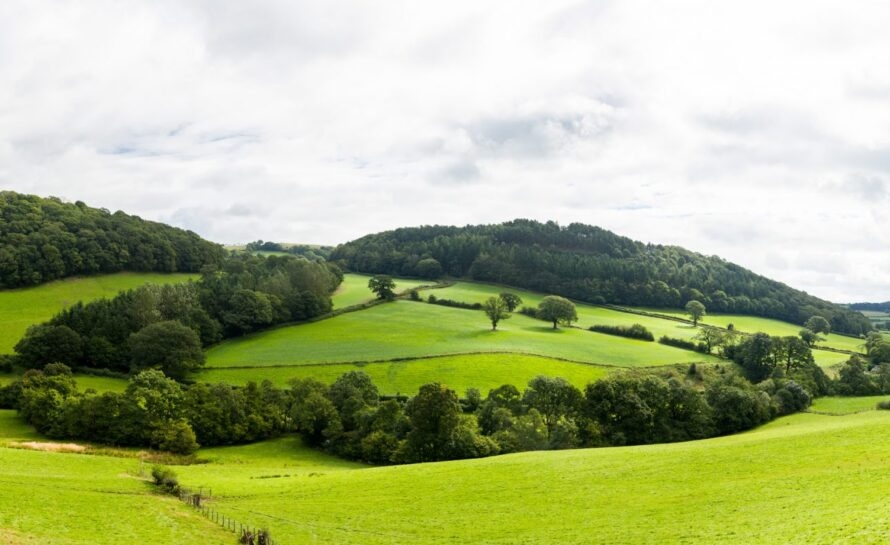 The Best Things To Do in The Countryside in Spring